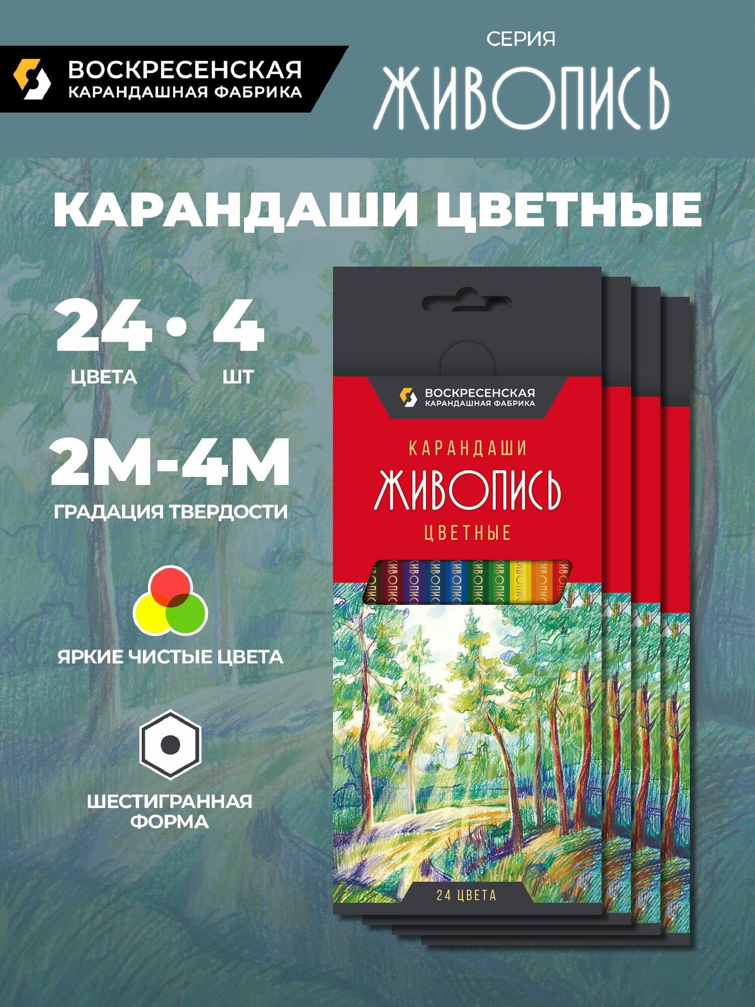 ВКФ карандаши цветные Живопись, заточенные, набор 4 упаковки по 24 цвета, JIV-CP-1024