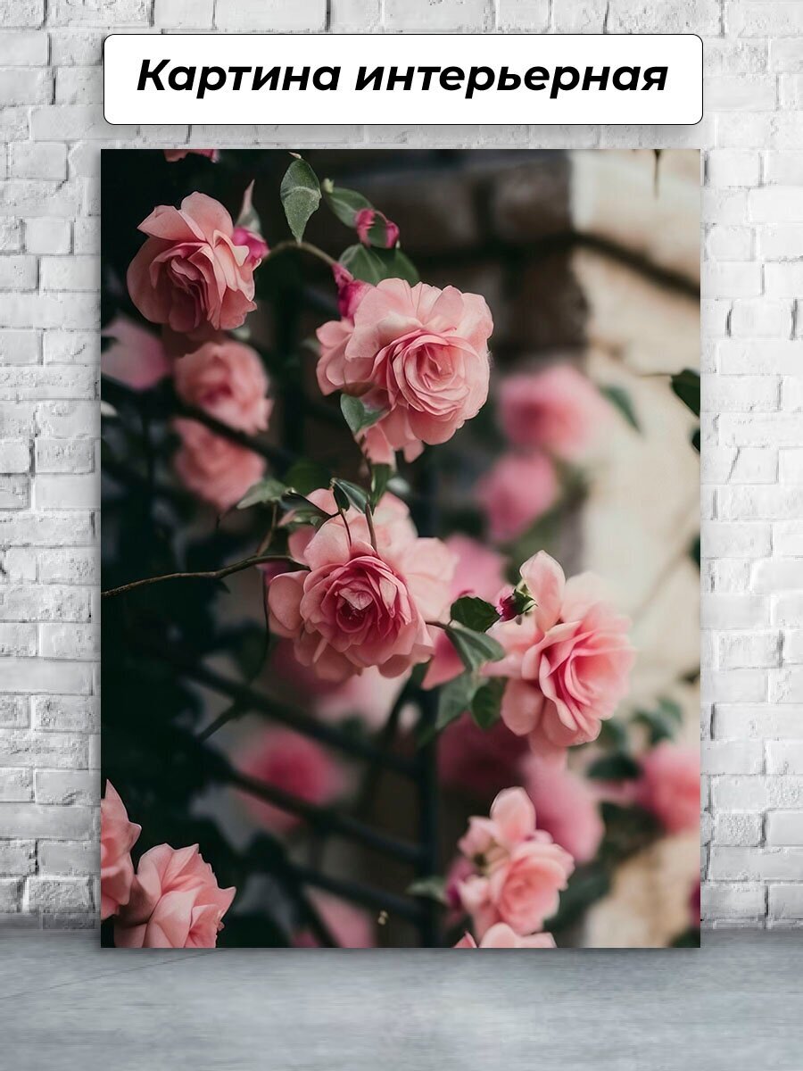 Картина 20х30 Розы