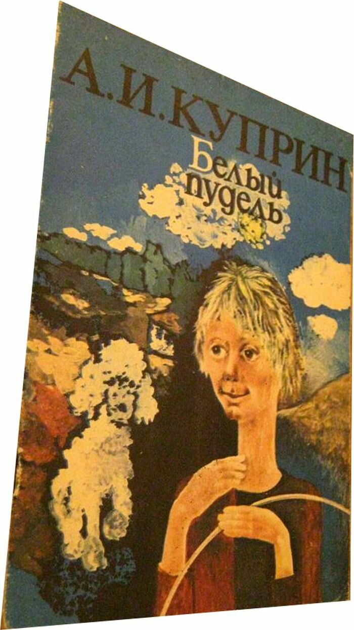 Белый пудель