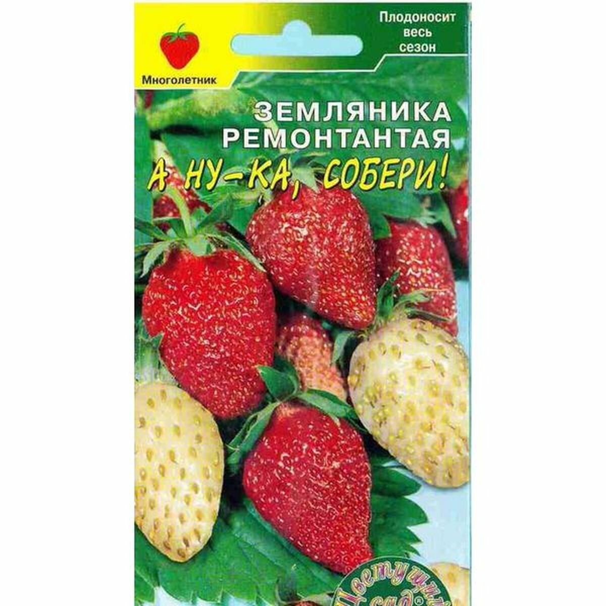 Семена Земляника А ну-ка, собери, Цветущий Сад, 1 пачка - 0.03г семян