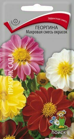 Георгина Махровая смесь окрасок однол. 0,3гр. (Поиск)