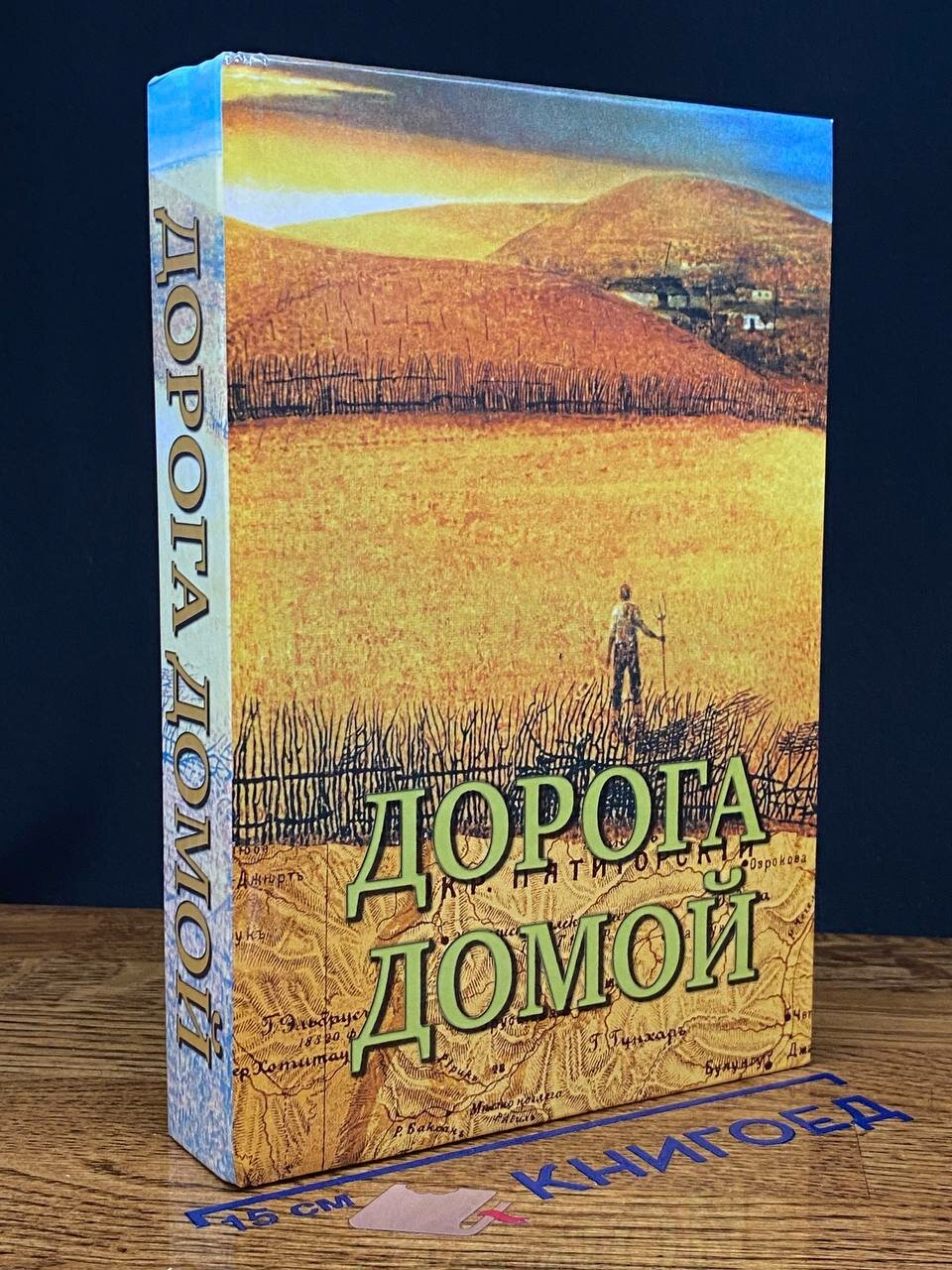 Книга. Дорога домой 2011 (2041246282384)
