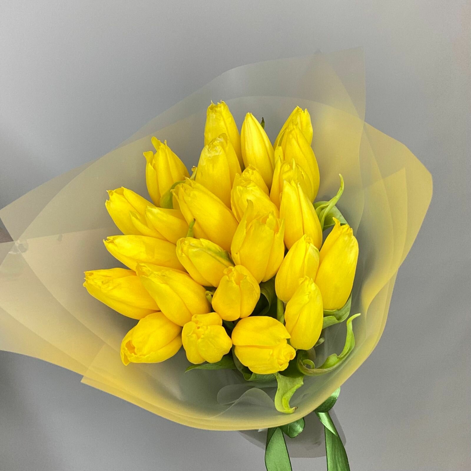 Желтые тюльпаны