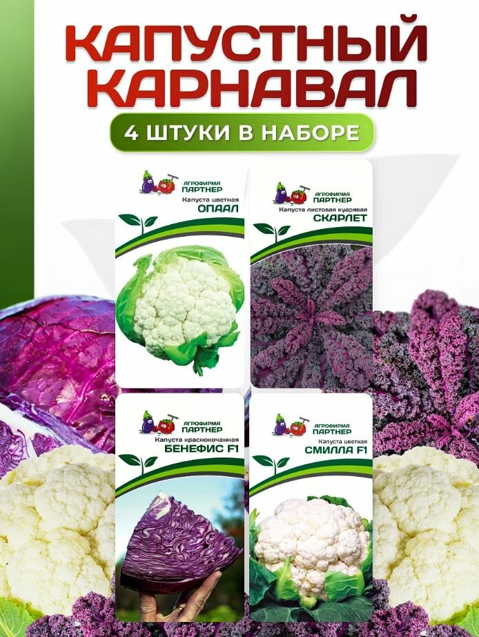 Семена набор: Капустный карнавал - Листовая кудрявая капуста Скарлет; Бенефис краснокочанная; цветная Опаал; Смилла