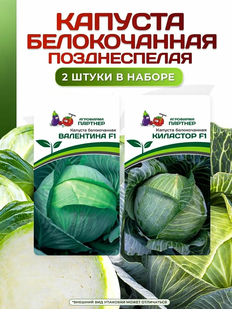 Семена набор: Капуста белокочанная позднеспелая - Валентина, Киластор