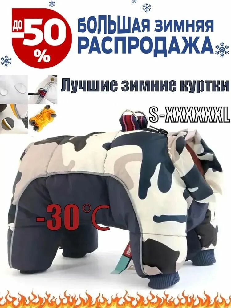 Одежда для животных