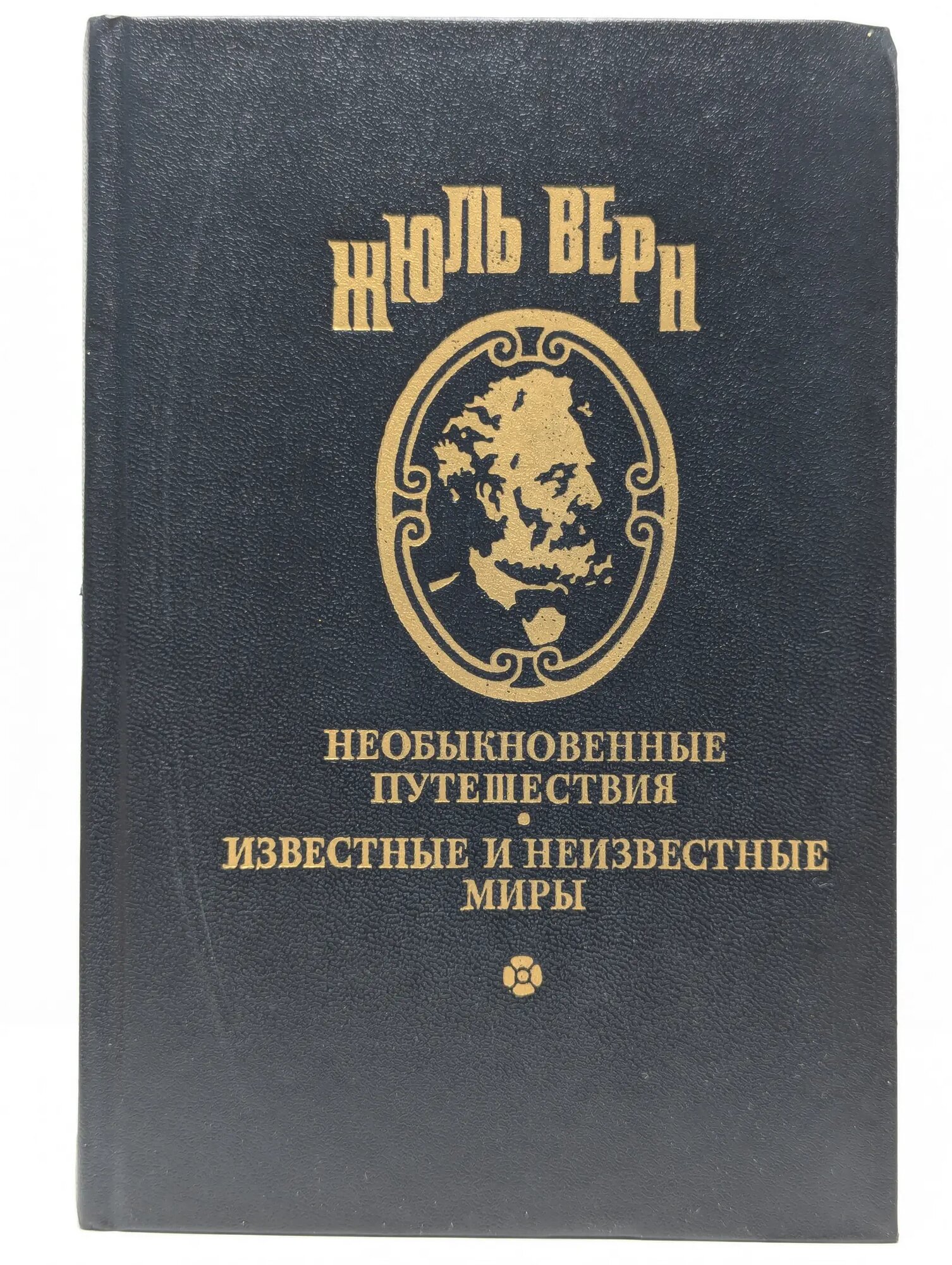 Безымянное семейство Верн Жюль 1993