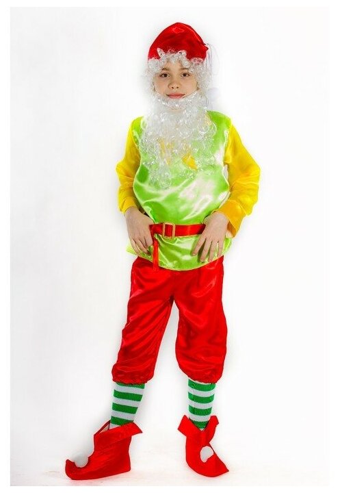 Карнавальный костюм «Гном», колпак, борода, рубашка, пояс, штаны, башмаки, р. 28, рост 110 см