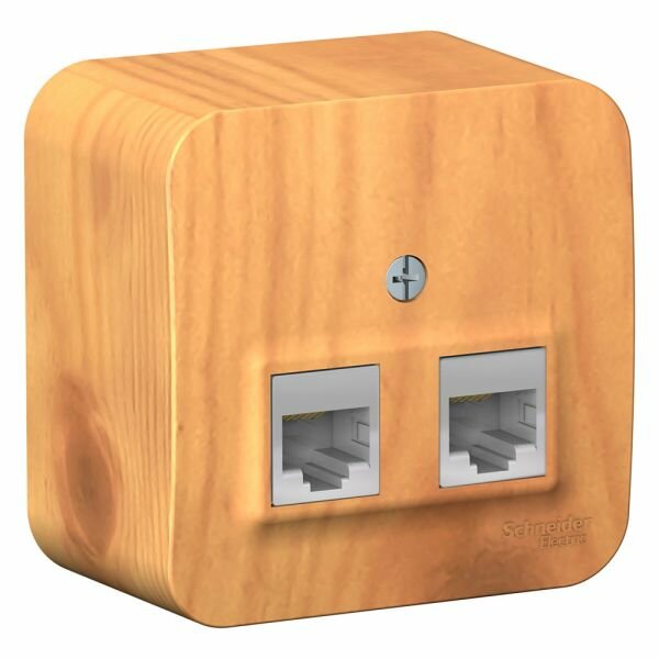 4 шт. Systeme Electric Blanca наружная Ясень Розетка 2-ая компьютерная RJ45, кат.5E, изолированная пластина, BLNIA045455