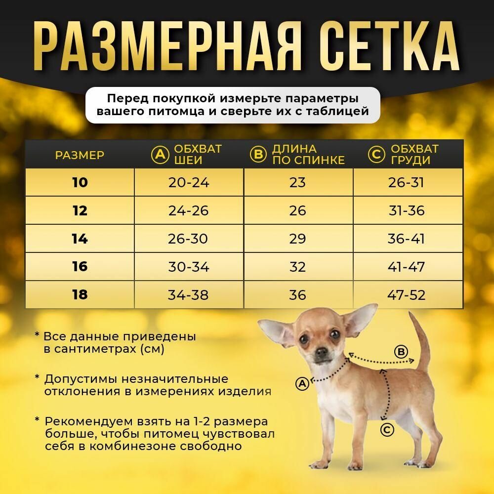 Одежда для животных — фото 1