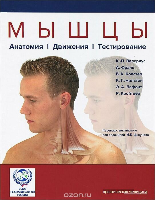 Мышцы. Анатомия. Движения. Тестирование