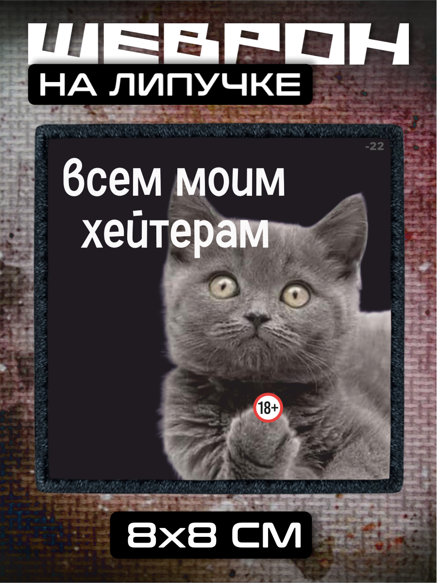 Шеврон на липучке Кот мемный смешные