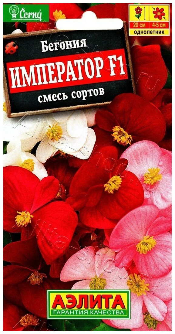 Семена Бегония вечноцветущая Император F1 смесь окрасок (10 семян), Агрофирма Аэлита