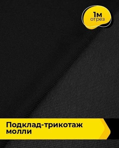 Ткань Сетка-трикотаж "Молли" подкладочная для шитья одежды и рукоделия, отрез 1 м*165 см, цвет черный