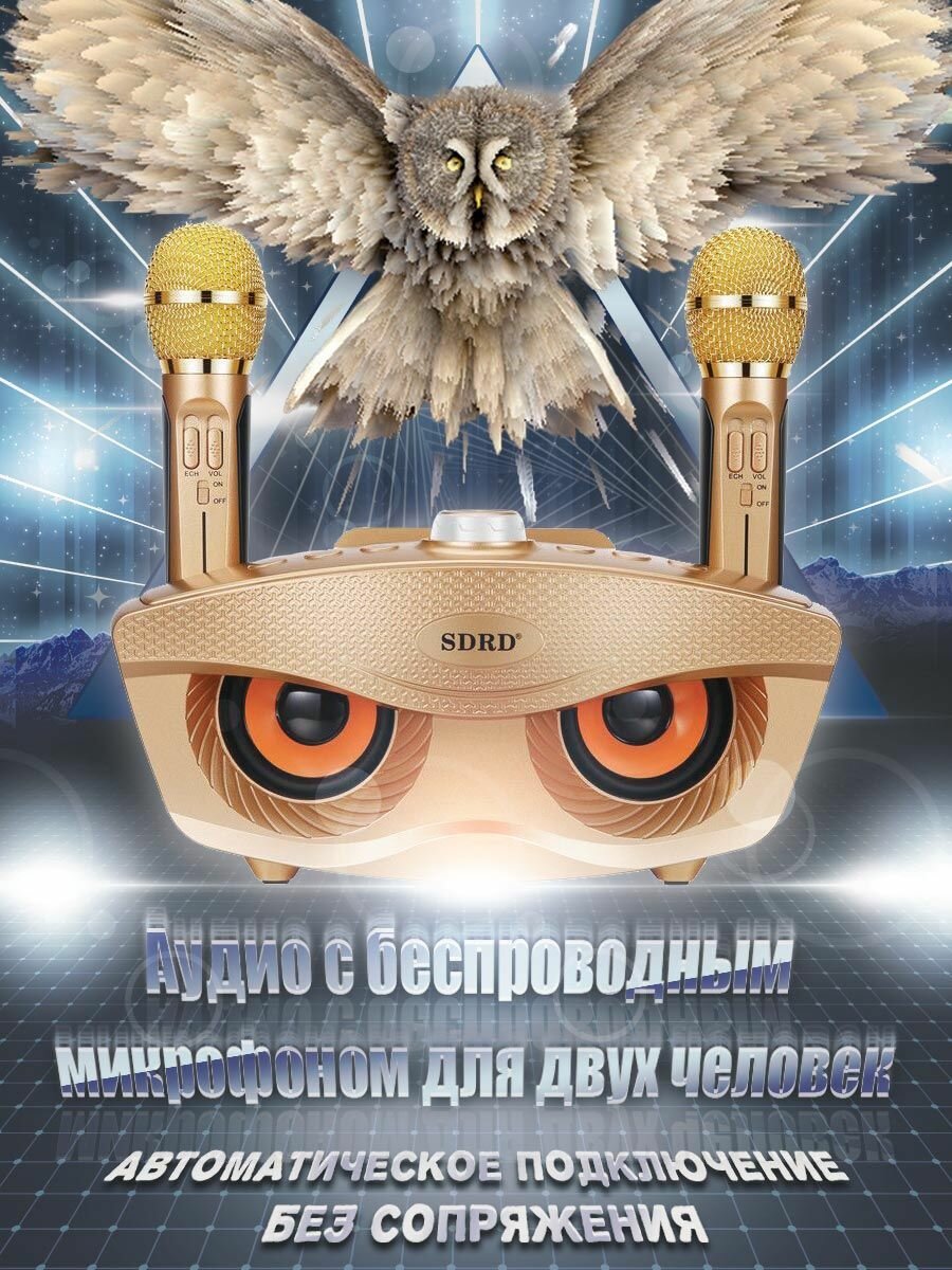 Домашняя караоке-система с беспроводным микрофоном SD-306 gold