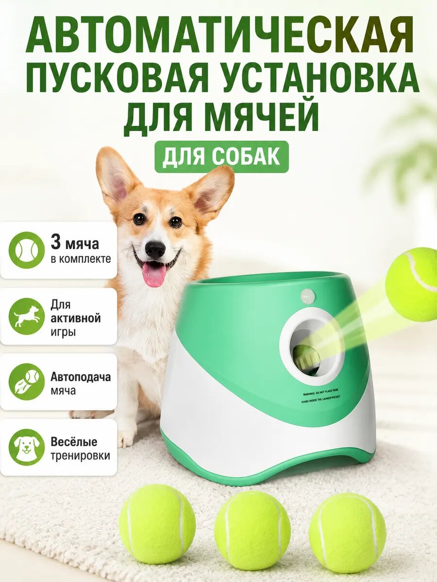 Метатель мячей для собак, Автоматическая катапульта
