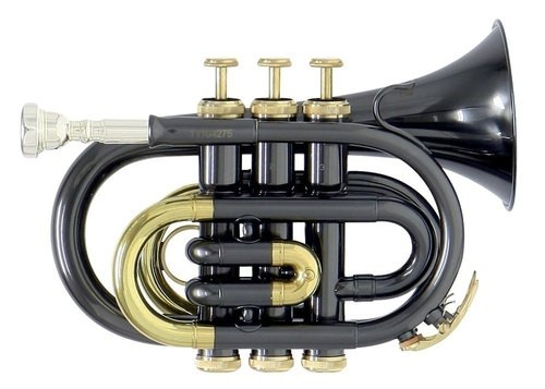 ROY BENSON PT-101K Bb труба карманная, антрацитовый лак