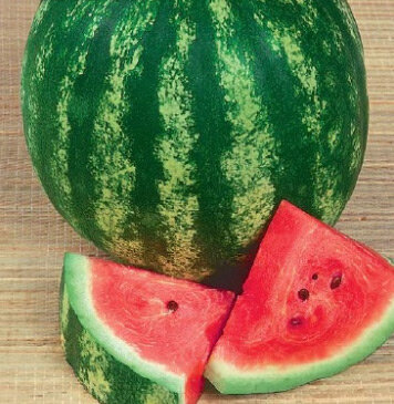 Семена Арбуза Фаворит (1 гр.)