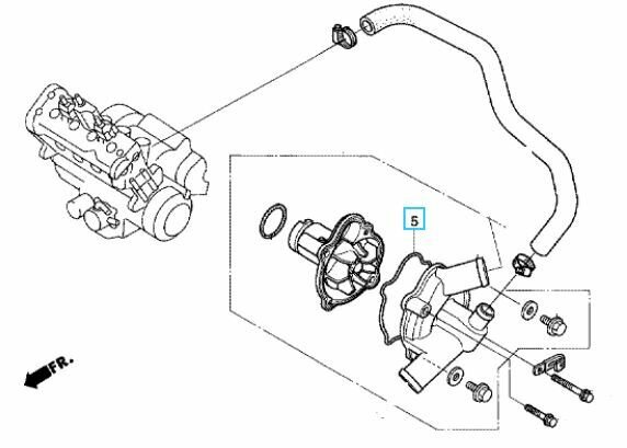 Прокладка, крышка водяного насоса (Оригинал)