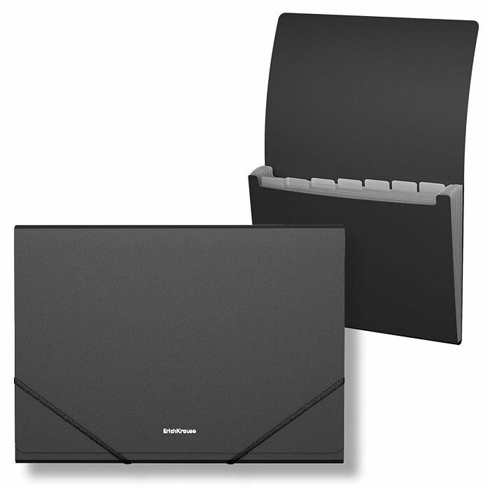 Папка-картотека Erich Krause пластиковая, Matt Classic, с 6 отделениями, A4, черная (50414)