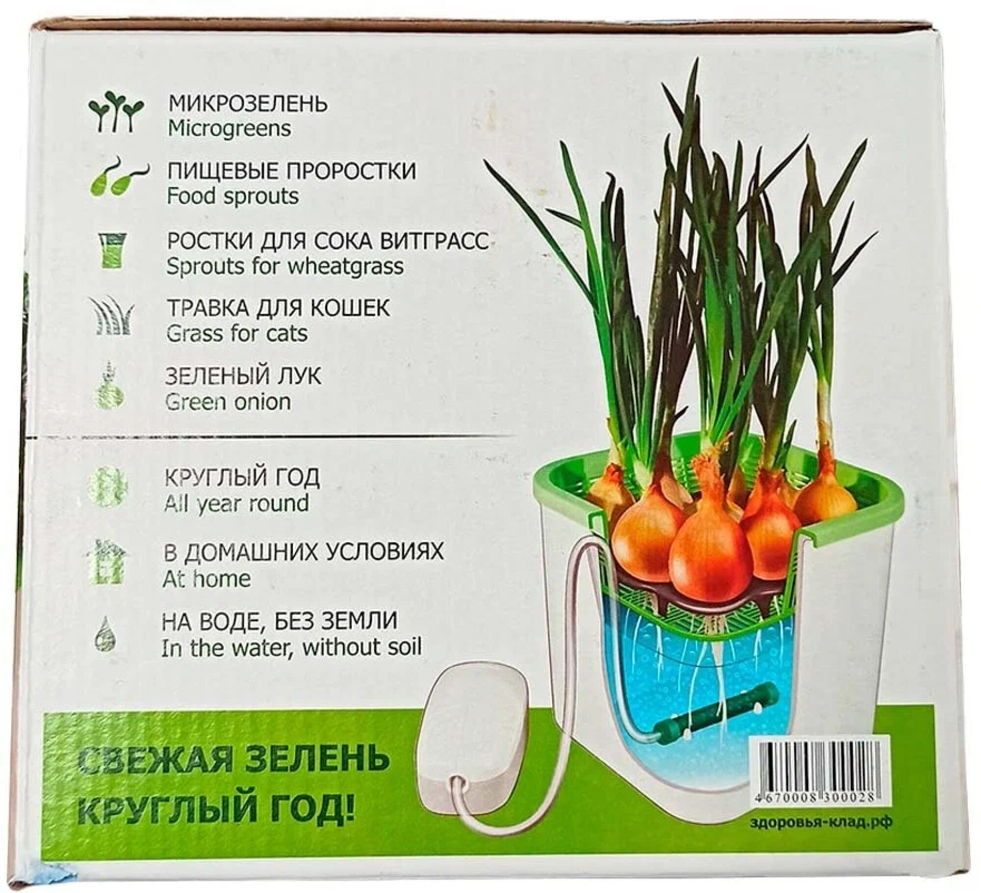 Мощная чудо грядка луковая ЗК лоток для выращивания зелёного лука в домашних условиях