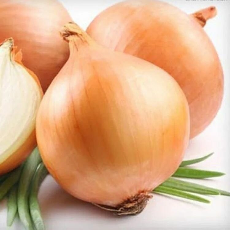 Коллекционные семена лука репчатый Есаул