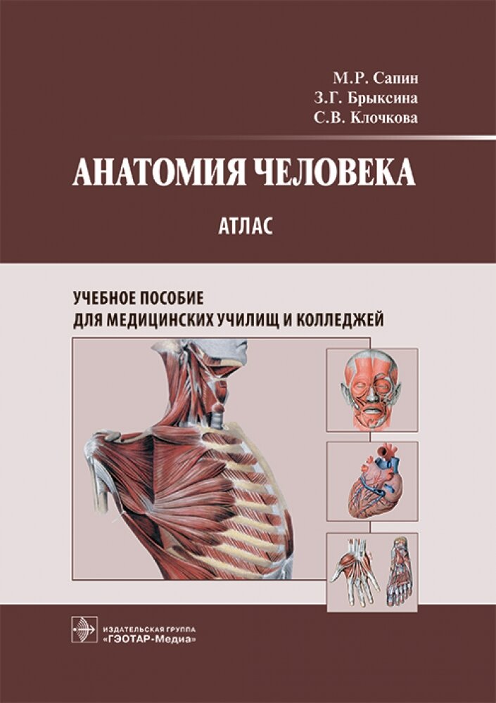 Анатомия человека. Сапин М. Р, Брыксина З. Г, Клочкова С. В. 2025