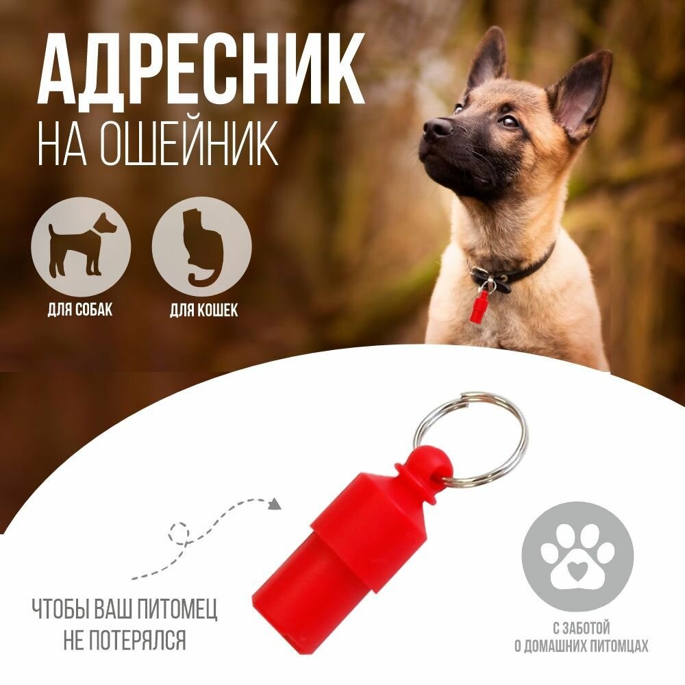 Адресник на ошейник для собак с капсулой, для кошек-.-3