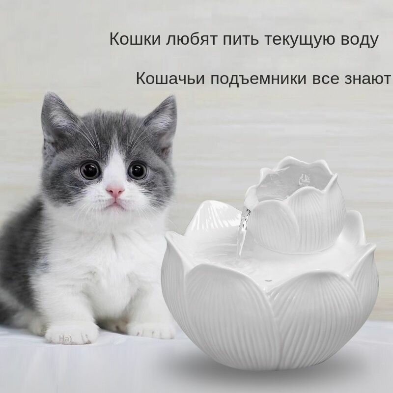 Фонтан для дома — фото 1