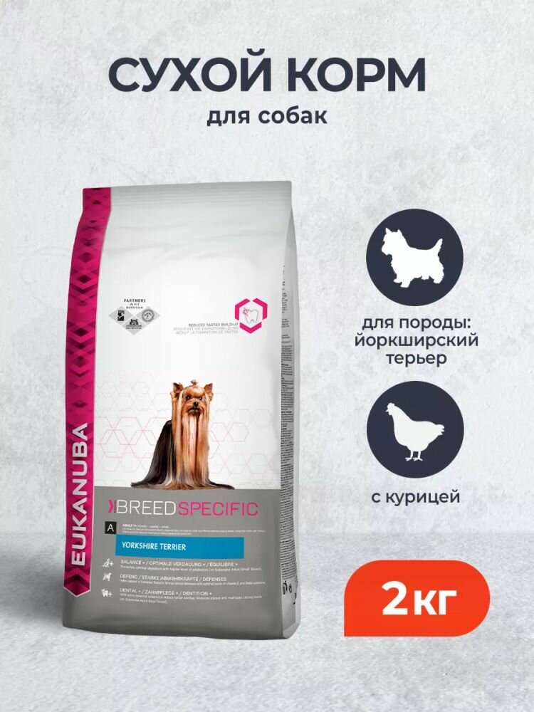 Сухой корм Eukanuba Yorkshire Terrier для йоркширских терьеров, 2 кг