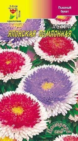 Семена Астра Смесь Японская помпонная