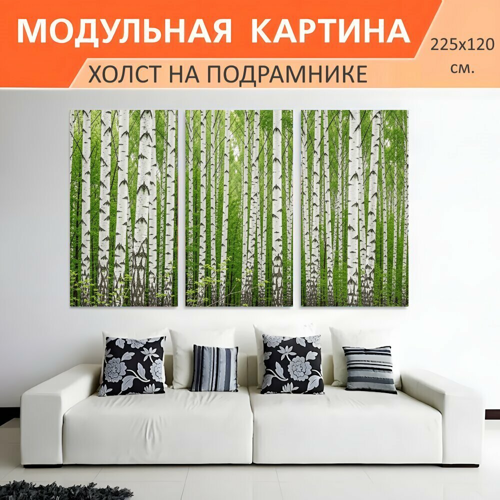 Модульная картина на холсте "Березовый лес летом. Светлая лесная поляна с высокими белоствольными деревьями, сочной зеленью и тонкими." триптих на подрамнике 225х120 см. для интерьера