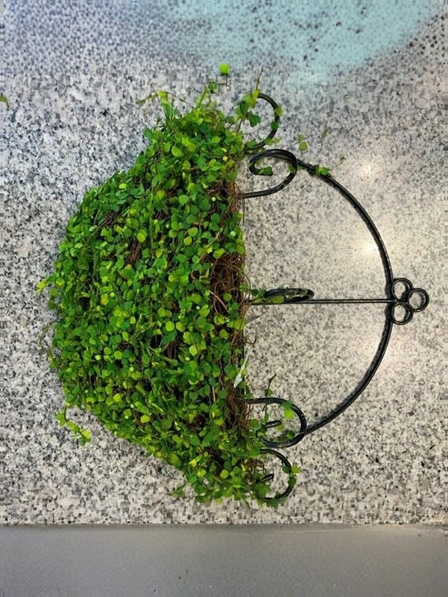 Кашпо для цветов "Сфагнум" с кокосовым волокном, настенное d 25см, листики