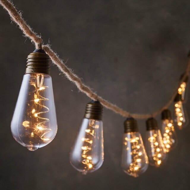 Ретро гирлянда Кроненберг, 10 ламп, теплые белые LED, 3.15 м, IP20, Edelman, 1070706