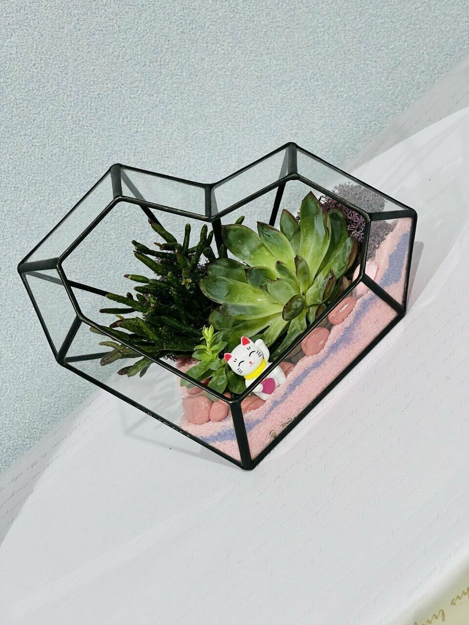 Флорариум сердце / Комнатное растение / Суккуленты