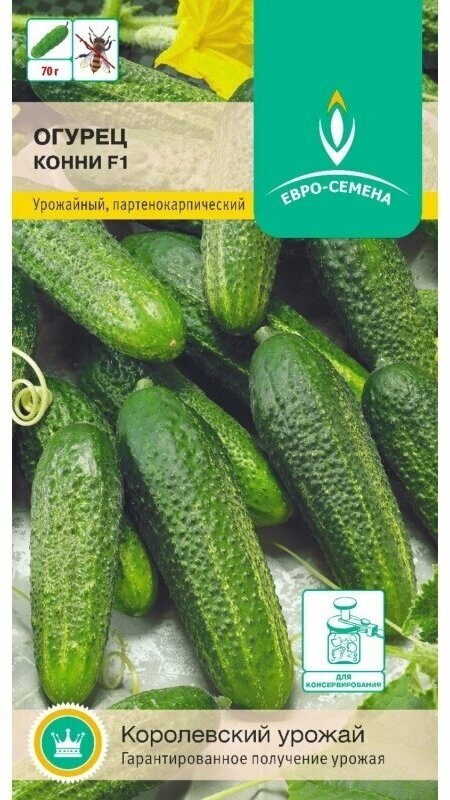 Семена Огурец Конни F1 10шт Партенокарпический Ранние (Евро-Семена)