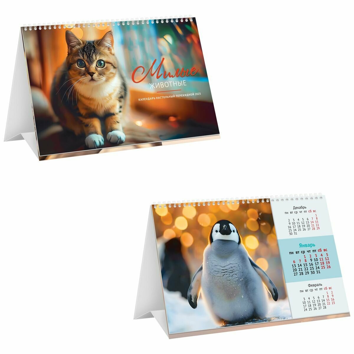 8 шт. Календарь-домик BG "Милые животные", на гребне, 2025г.
