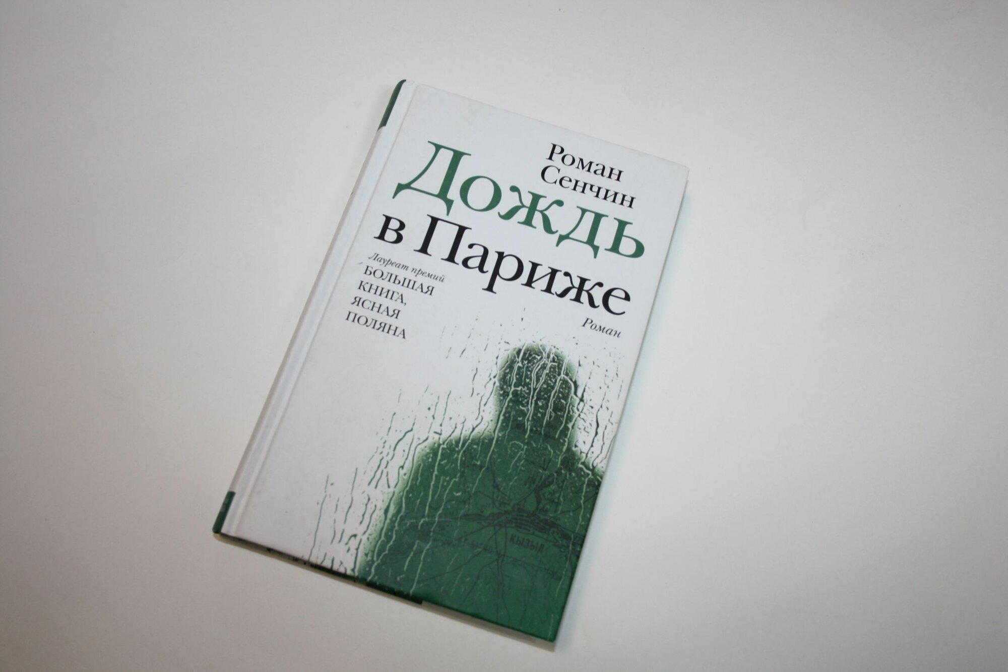 Дождь в Париже. Роман