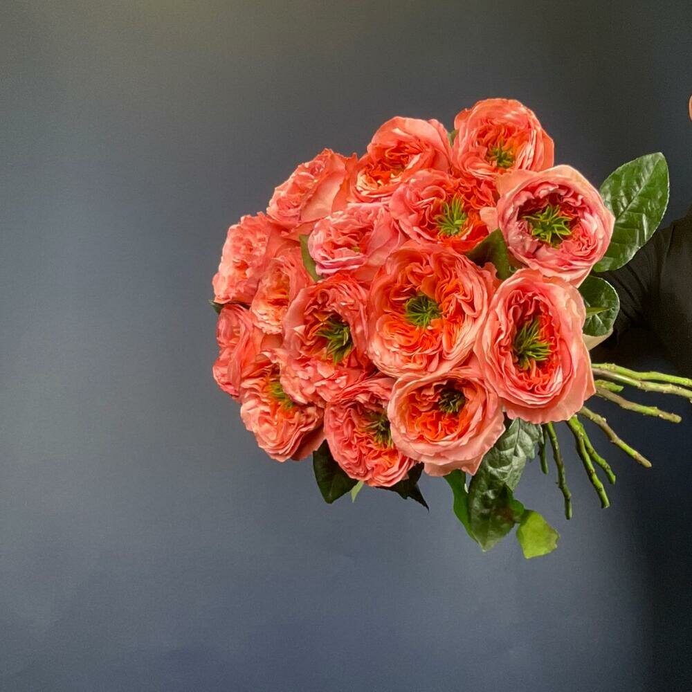 Роза мандарин экспрешен (15)