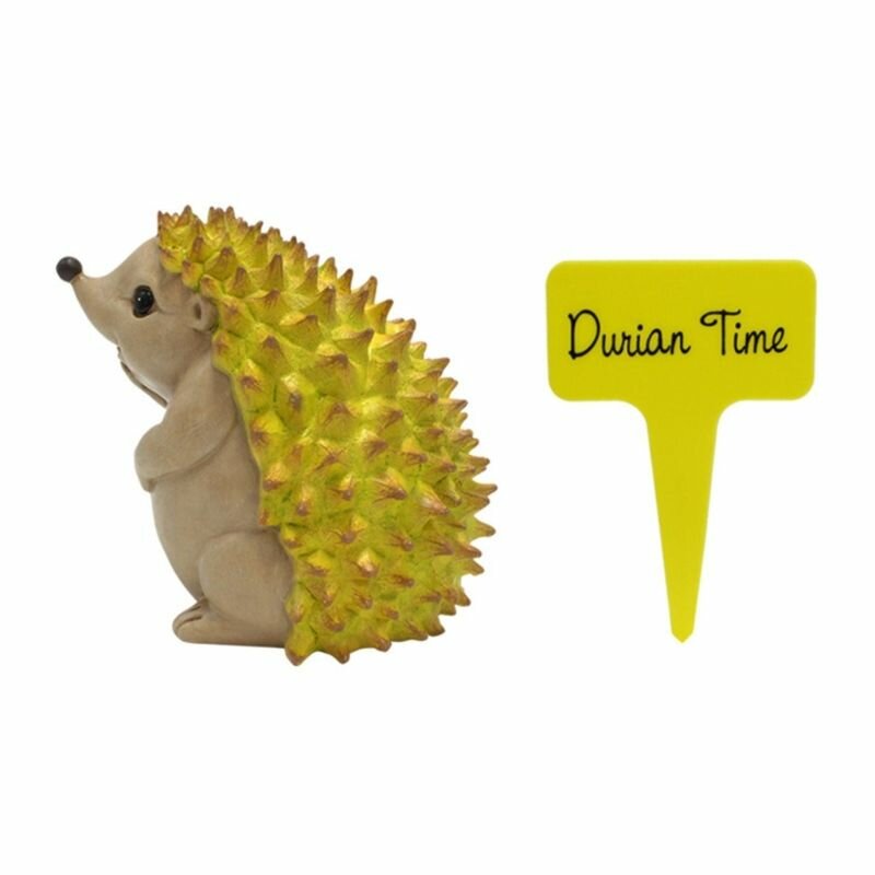 Творческое моделирование фрукта дуриан ежик орнамент
