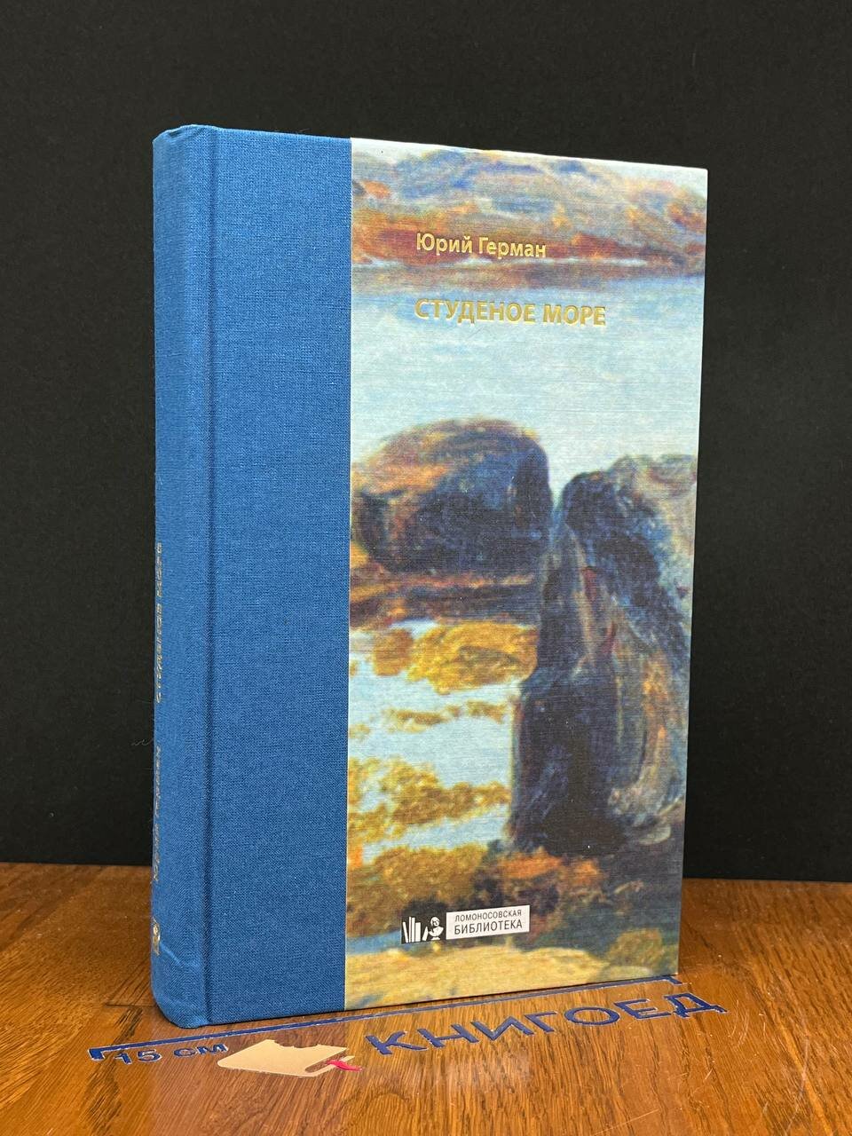 Книга. Слуденое море 2009 (2044688500948)