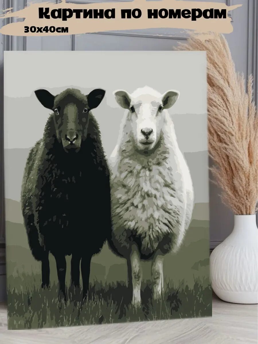 Картина по номерам овцы
