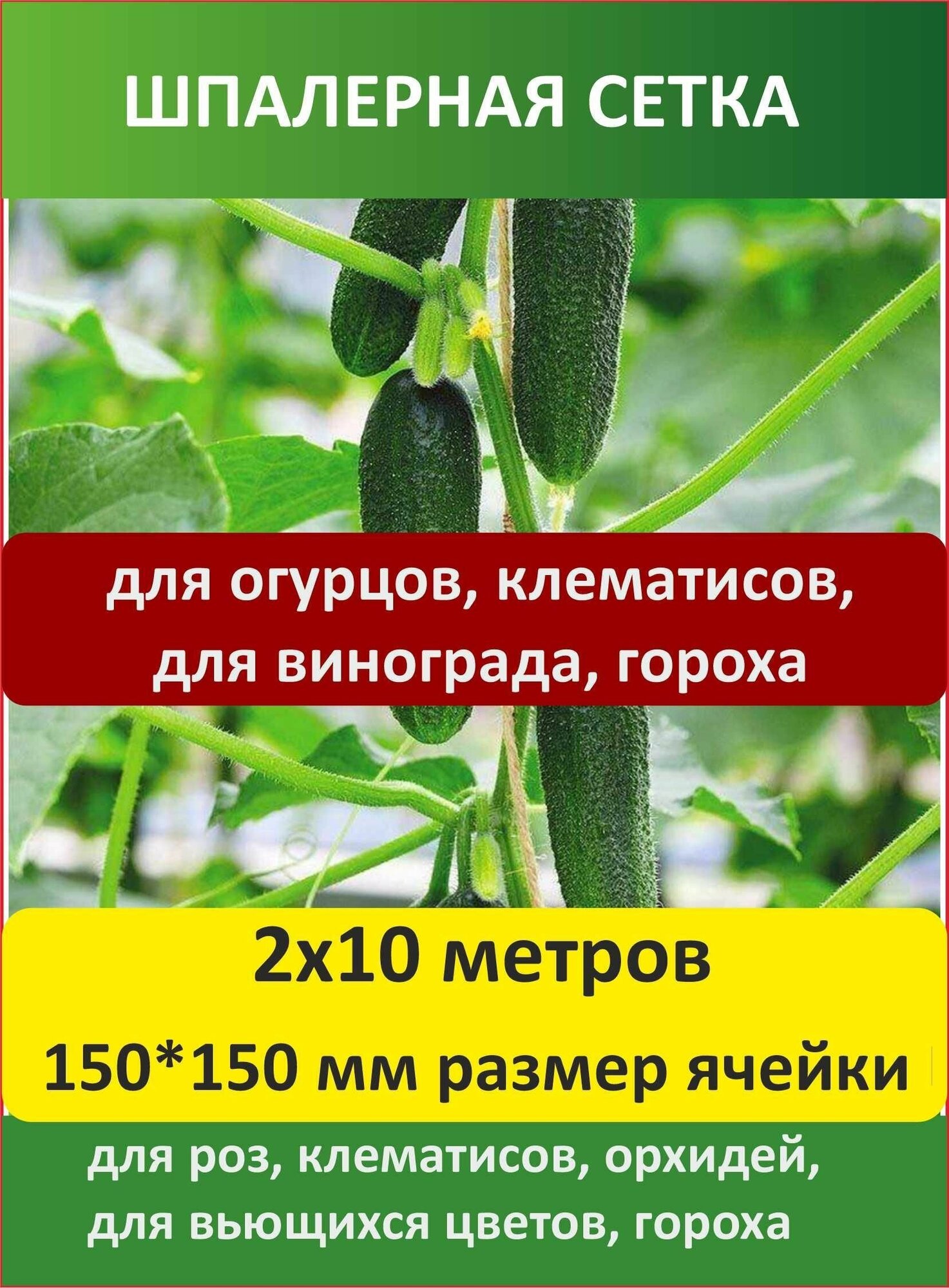 Сетка шпалерная для огурцов 2 х 10 м