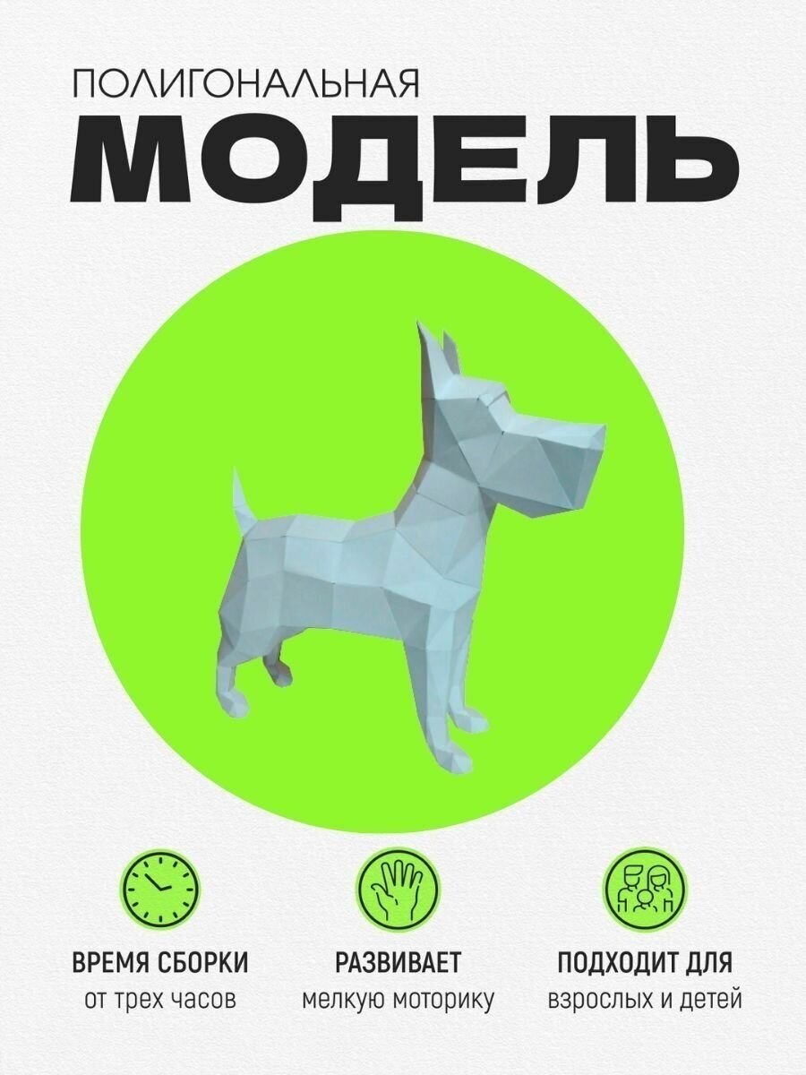 Подарочный набор, игрушки конструктор для девочек и мальчика
