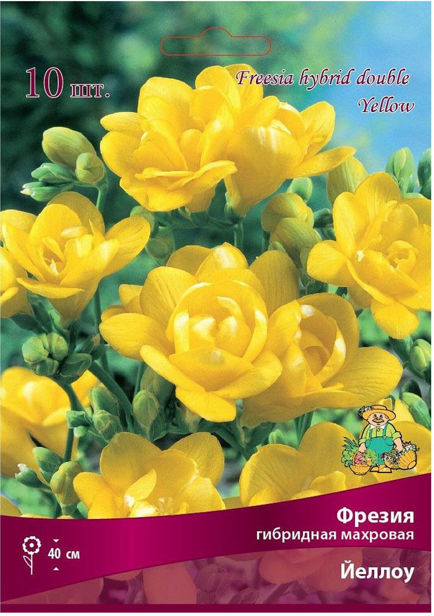 Луковицы фрезии поиск Йеллоу 10 шт