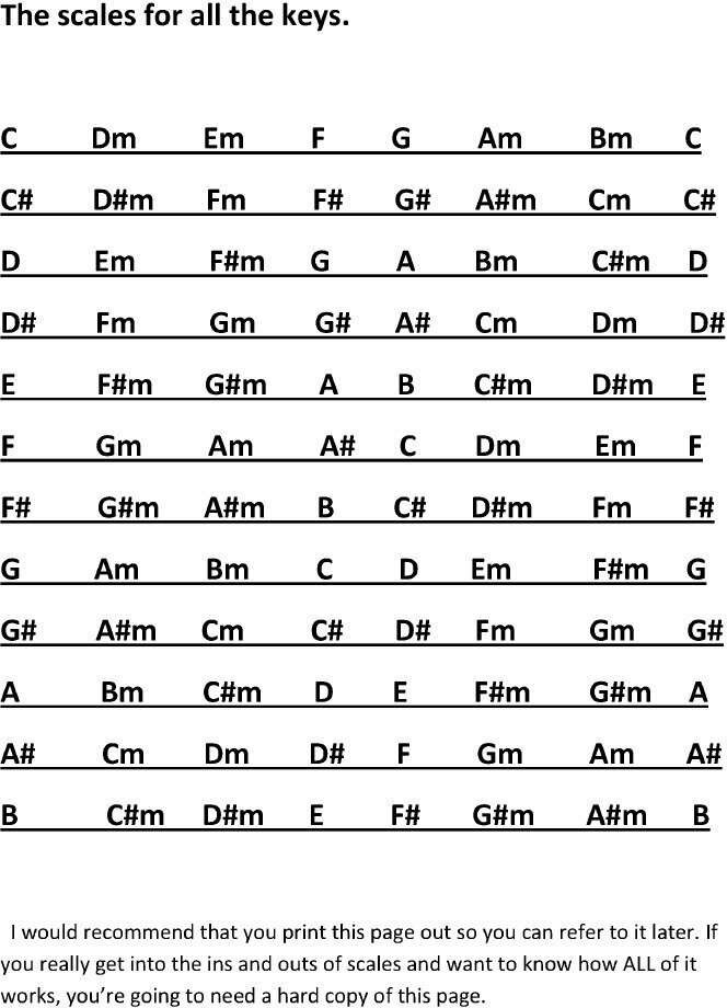 Fuzzballs essential guitar knowledge — фото 1