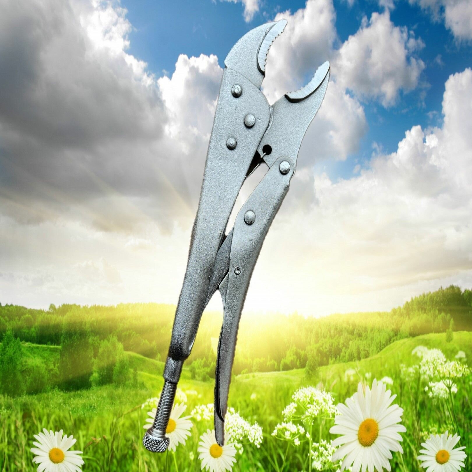 Плоскогубцы морзе , зажим с фиксатором 250 мм, третья рука