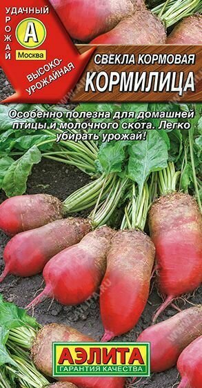 Свекла кормовая Кормилица ( 3 упаковки ), семена