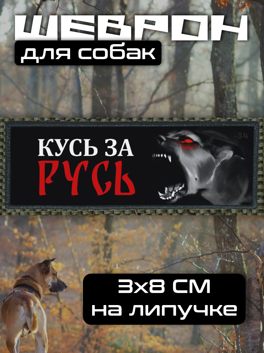 Шеврон на липучке для собак Кусь за Русь