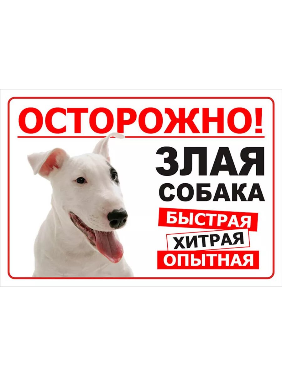 Табличка "Злая собака" 30х21см на пластике ПВХ
